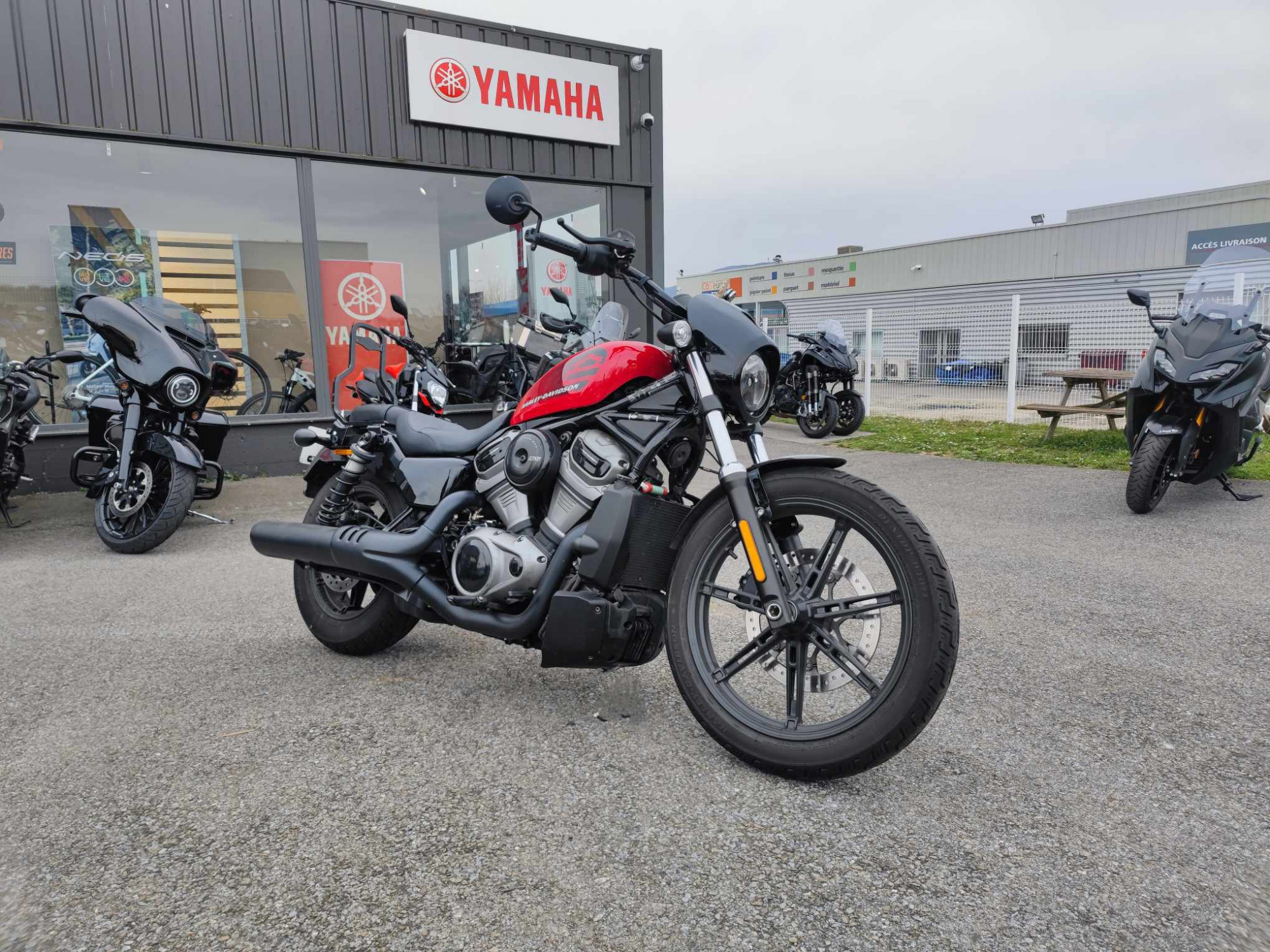 SPORTSTER NIGHTSTER 975